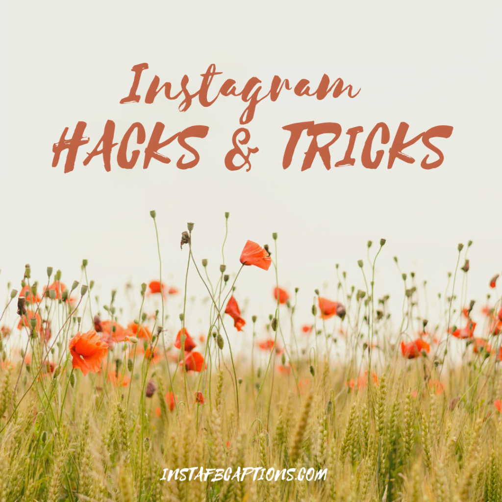 34 Instagram HACKS & TRICKS to Explore
