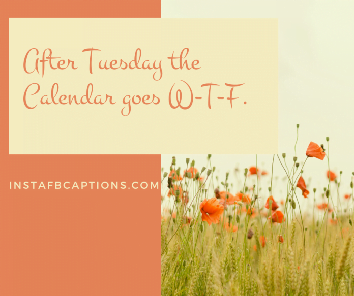 50+ TUESDAY Instagram Captions Quotes in 2022