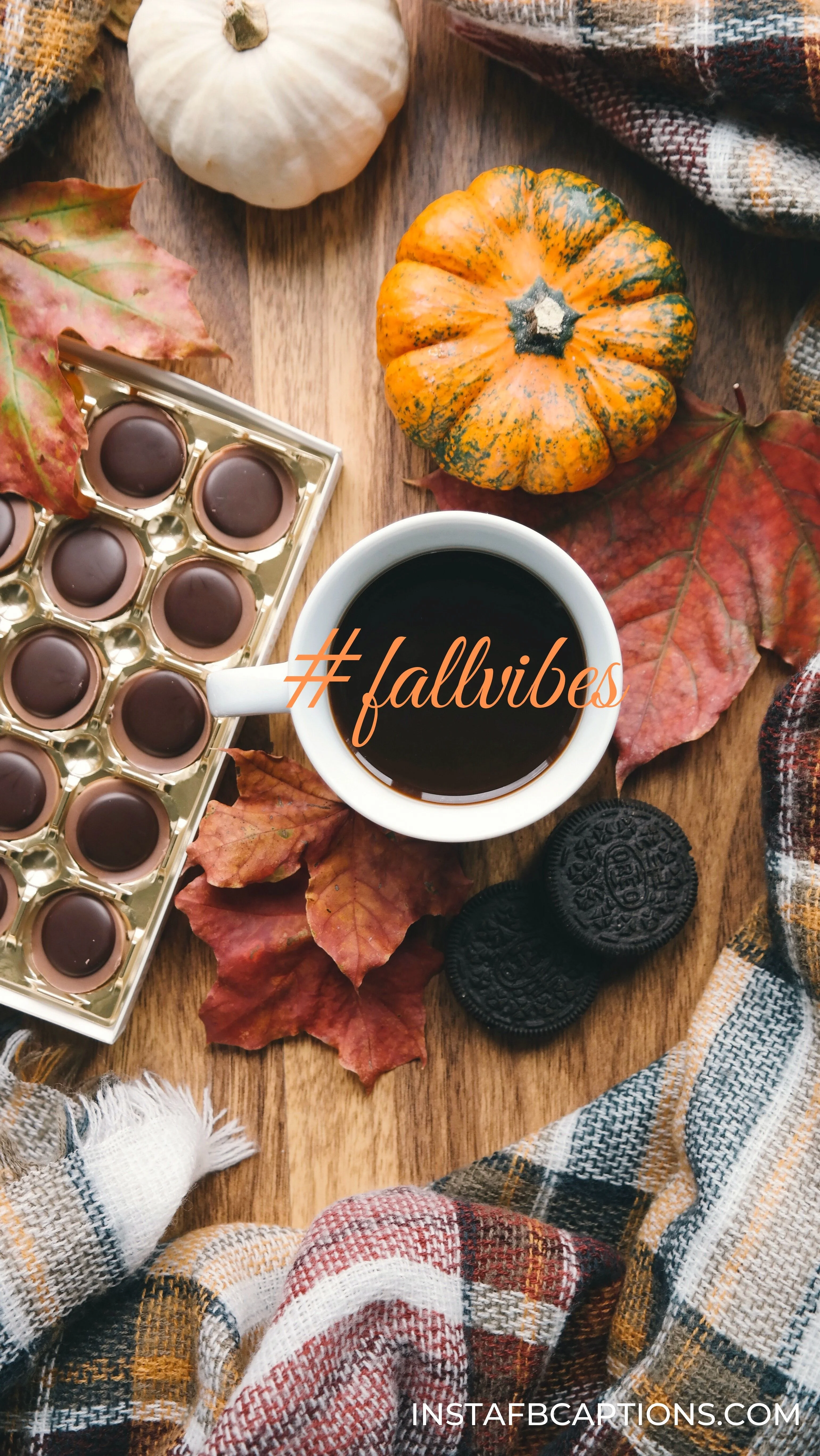 120+ FALL Instagram Captions for AUTUMN 2024