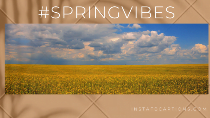 150+ Best SPRING Instagram Captions 2024