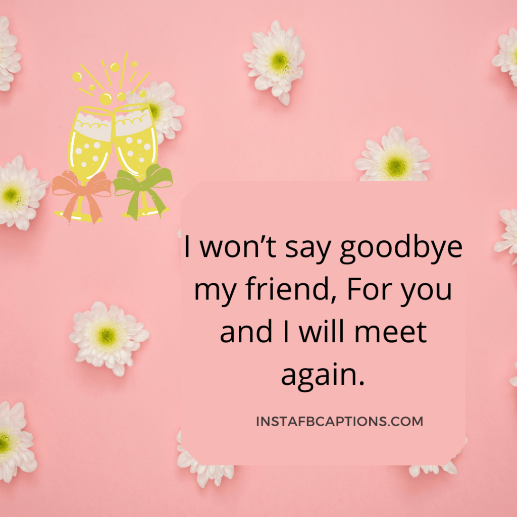 50+ VIDAAI Instagram Captions For The BRIDE 2024