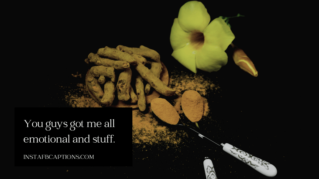 65+ Mesmerizing Haldi Quotes & Captions For Instagram In 2024 ...