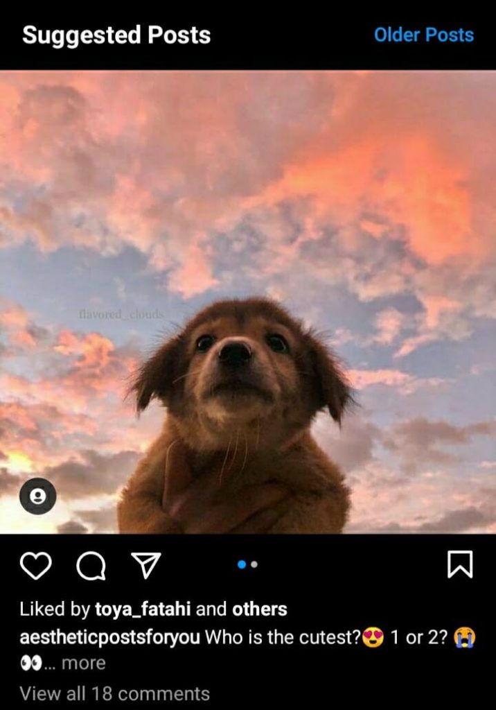 How To Write Social Media Captions to Increase Engagement