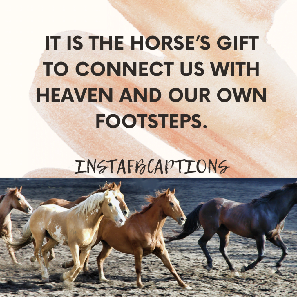 Gallop into Instagram Fame: 130+ Captivating Horse Riding Captions
