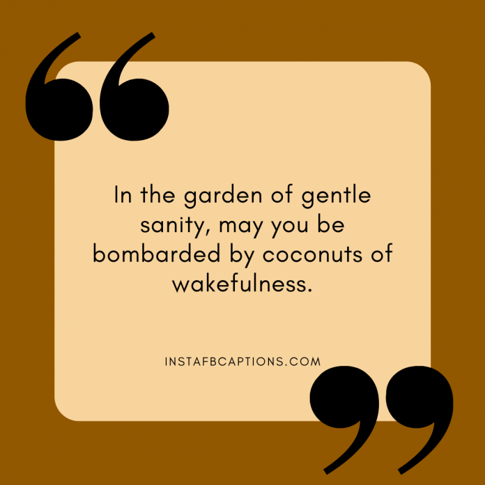 57 Coconut Instagram Captions and Quotes in 2024