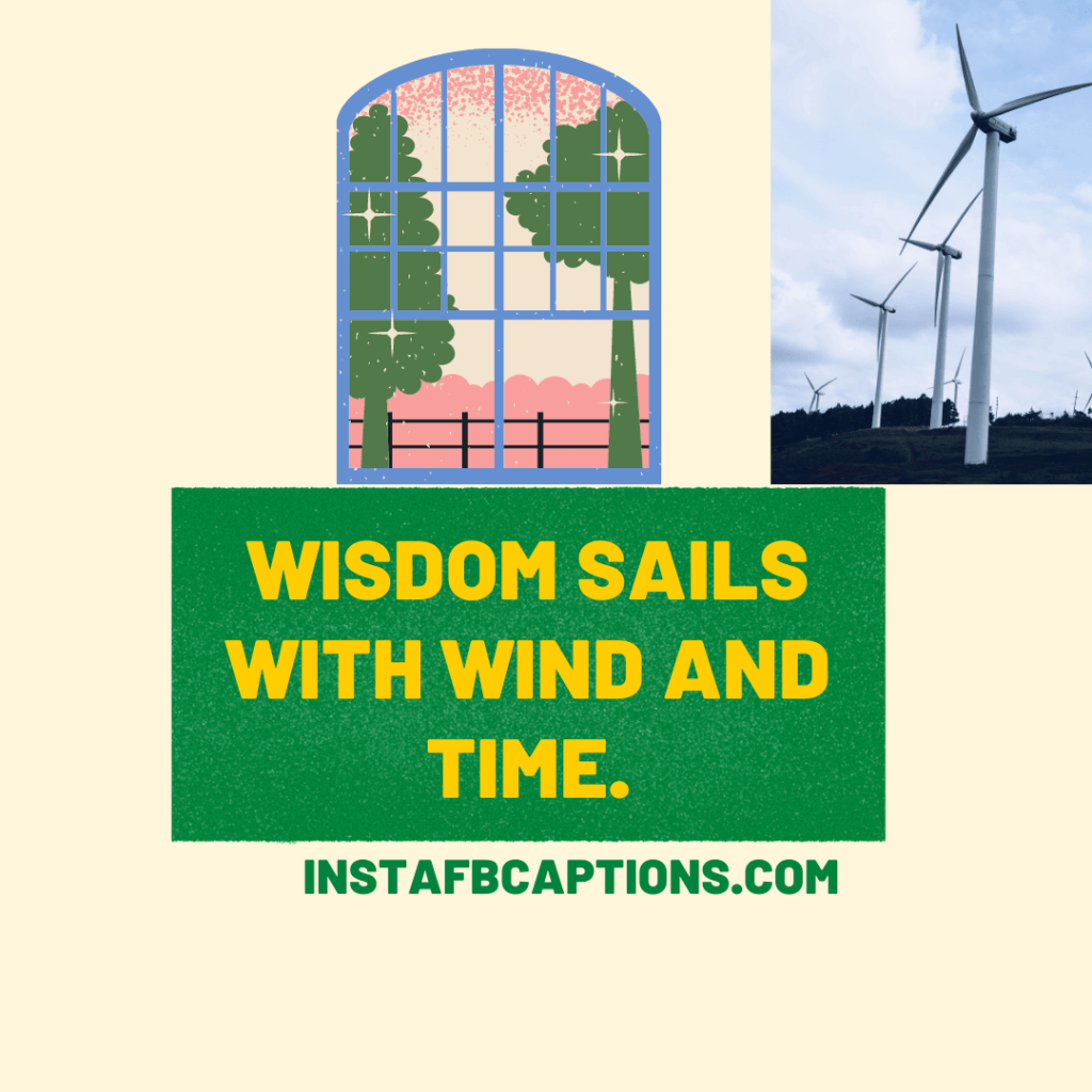 [New] Breezy WIND Captions & Quotes For Instagram in 2024 ...