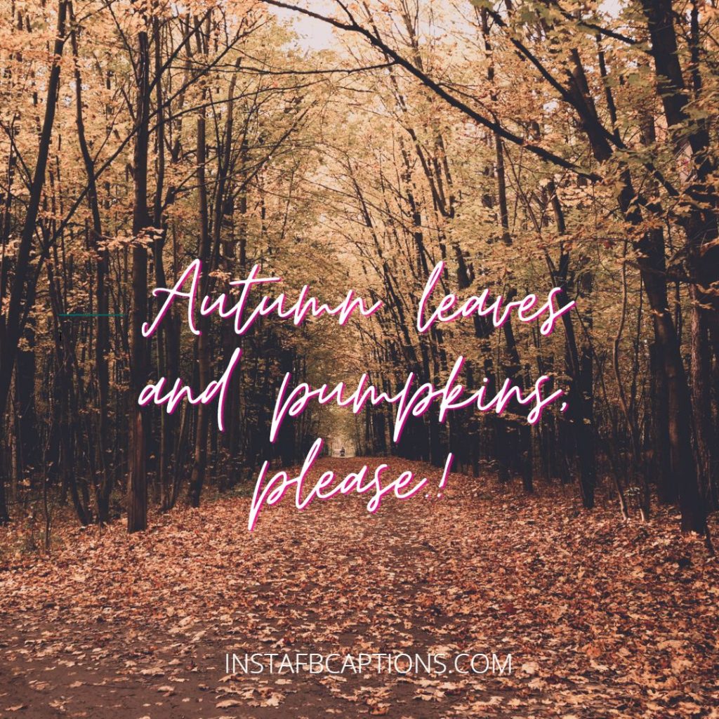 [Popular] OCTOBER FALL Captions Quotes for Instagram in 2024 ...