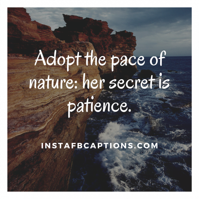 [98+] Greenery Quotes Captions for Instagram in 2024