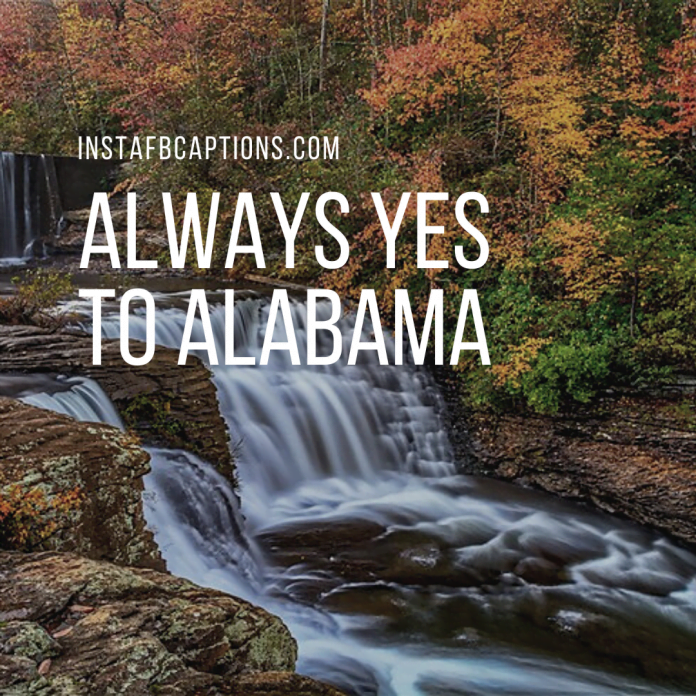91 ALABAMA Instagram Captions, Quotes and Hashtags 2024 ...