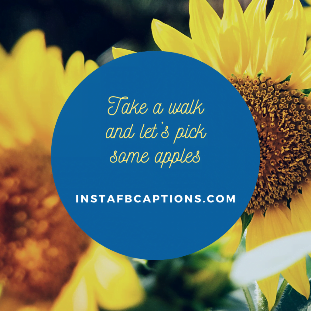 APPLE Picking Instagram Captions and Quotes in 2024 - InstaFbCaptions ...