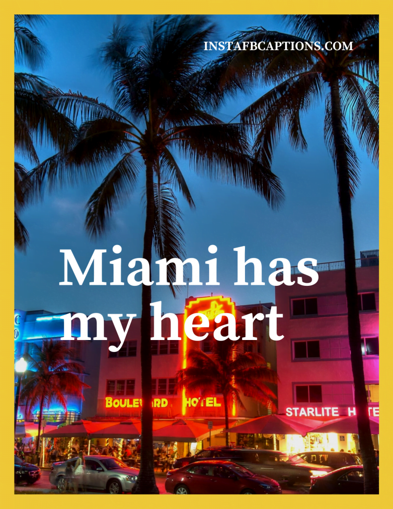101 Miami Instagram Captions for Beach and Nightlife 2024 ...