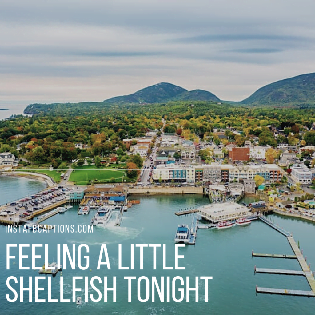 76+ Maine Instagram Captions and Quotes in 2024