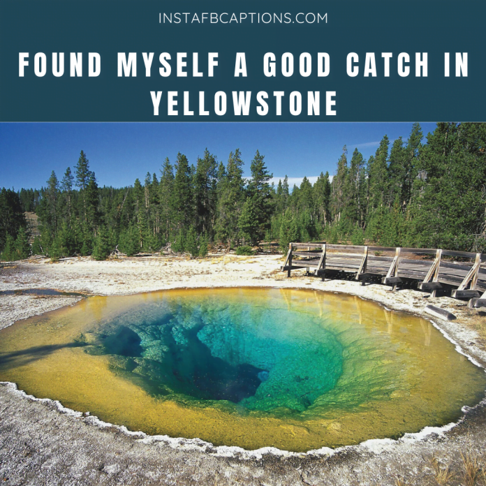 [New] Yellowstone Captions Quotes for Instagram in 2024