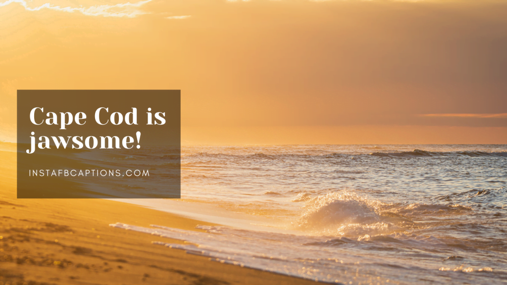 97 Cape Cod Instagram Captions in 2024 - InstaFbCaptions | Best ...