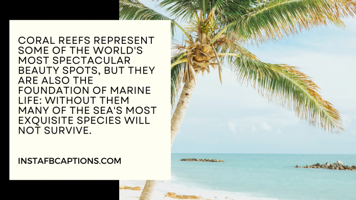 98 Key West Quotes, Captions, Puns, Phrases for 2024 - InstaFbCaptions ...