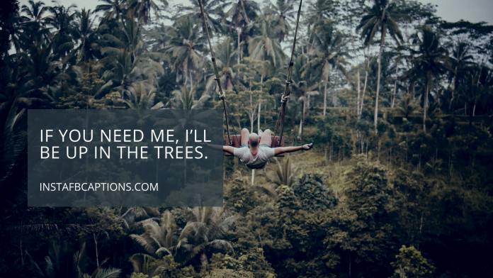 99 Ziplining Instagram Captions for Crazy Pictures in 2024 ...