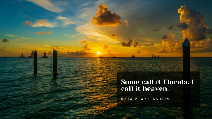 98 Key West Quotes, Captions, Puns, Phrases for 2024 - InstaFbCaptions ...