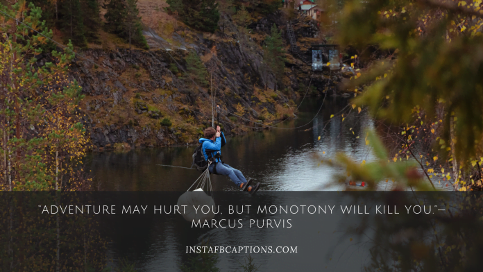 99 Ziplining Instagram Captions for Crazy Pictures in 2024 ...