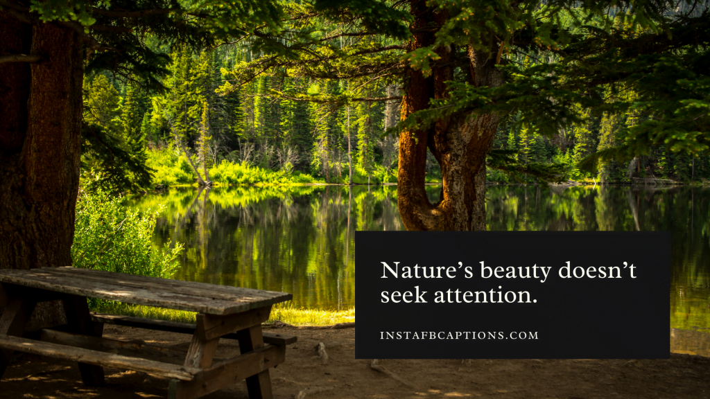 Embrace the Outdoors: Creative Instagram Captions for Nature Lovers ...